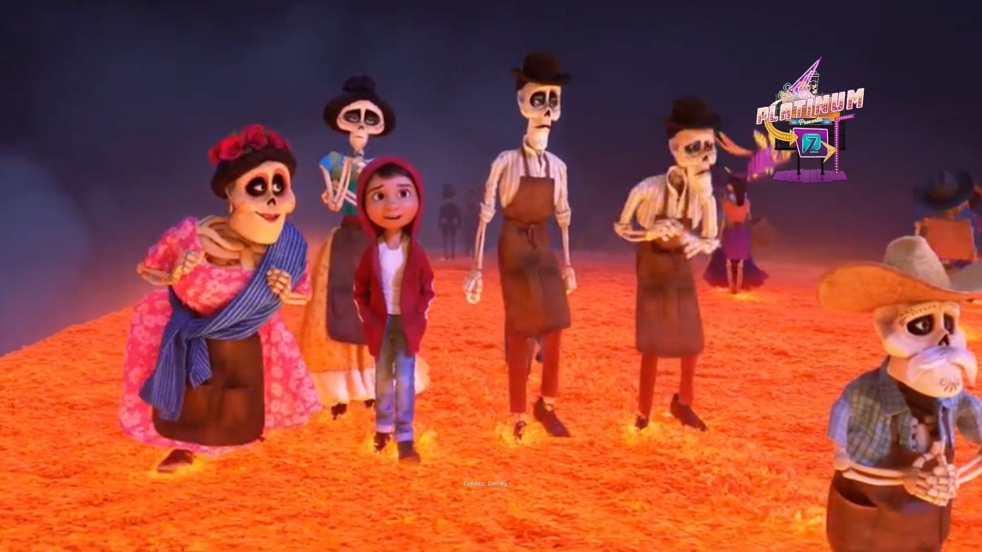 FOTOS | Cempasúchil, la flor emblemática del Día de Muertos