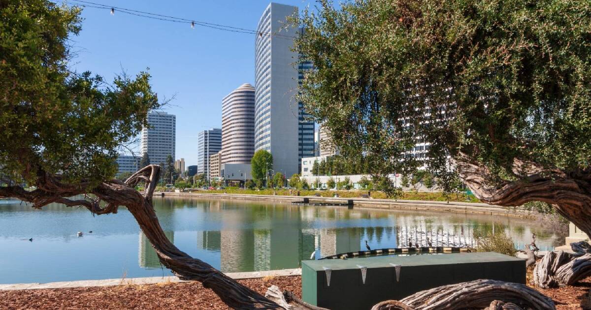 Buenas noticias por esta especie nativa de California que apareció ...