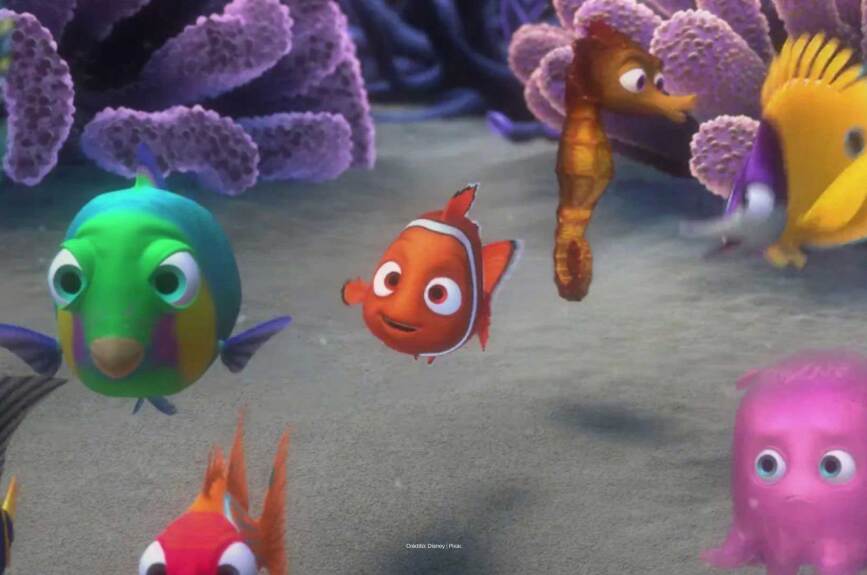 ¿Sabías que Nemo es un pez payaso? | Azteca 7