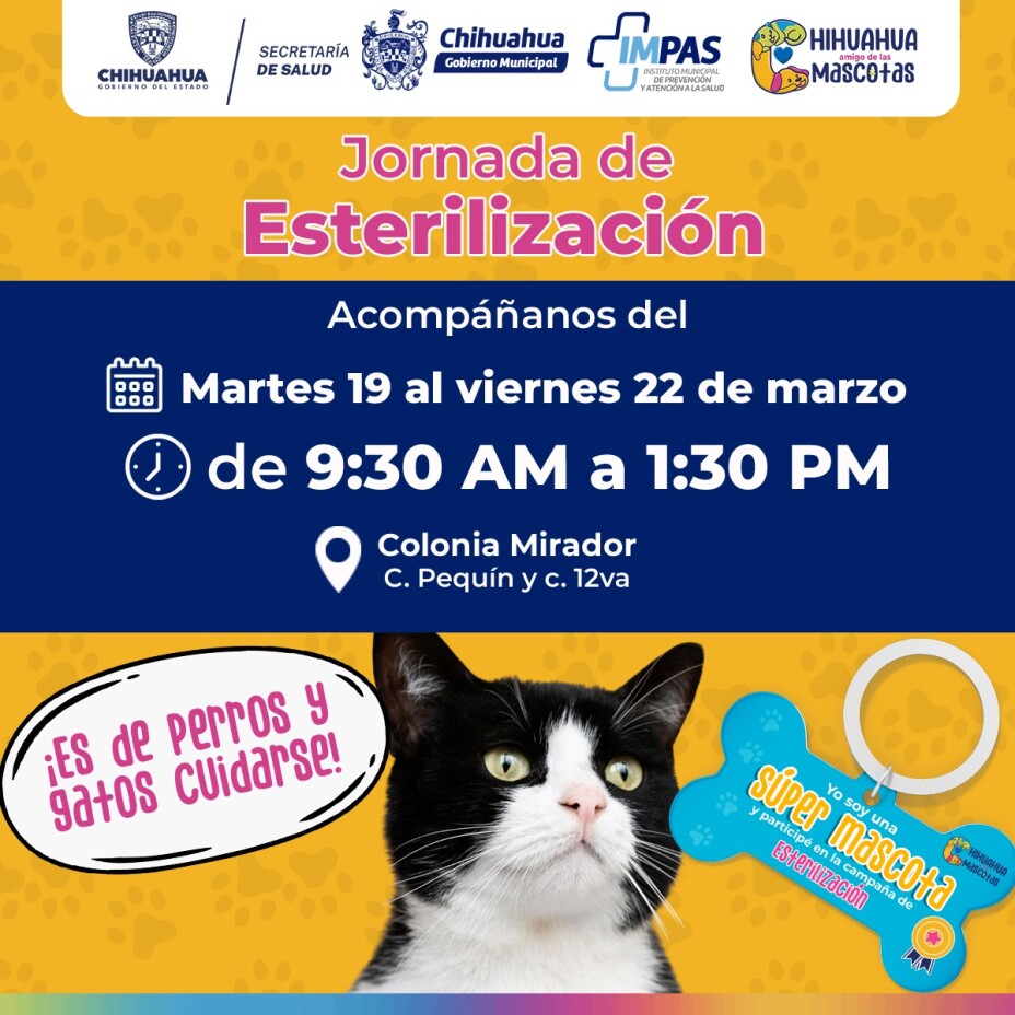Invitan A Campaña De Esterilización Para Tus Mascotas En La Colonia