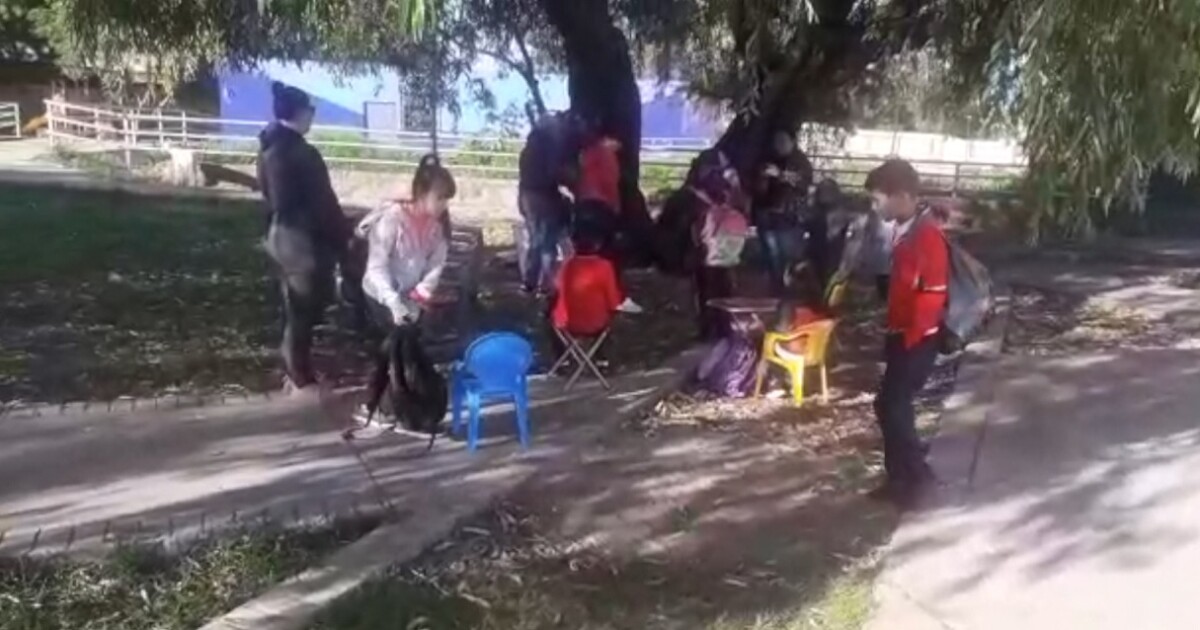 Estudiantes de primaria reciben clases ¡debajo de un árbol!