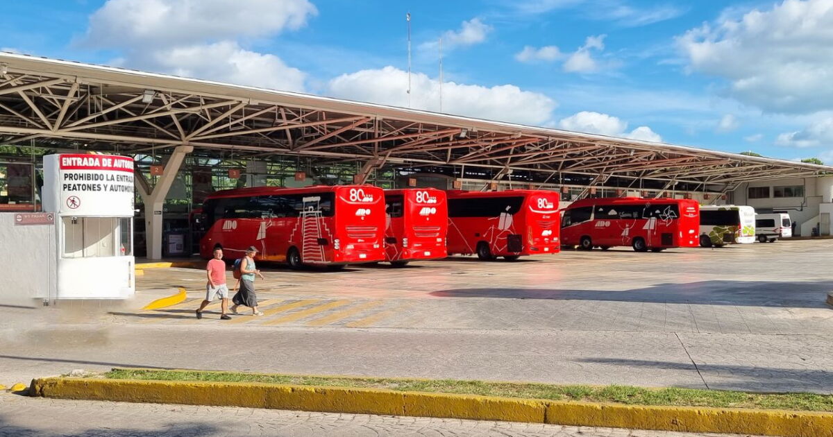 El nuevo requisito que pedirían para viajar en las centrales de ...