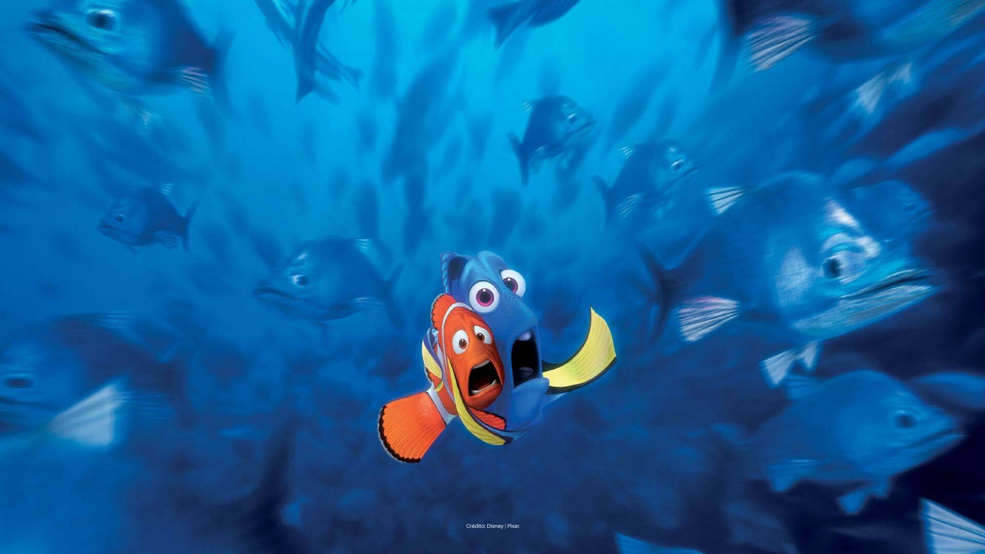 ¿Sabías que Nemo es un pez payaso? | Azteca 7