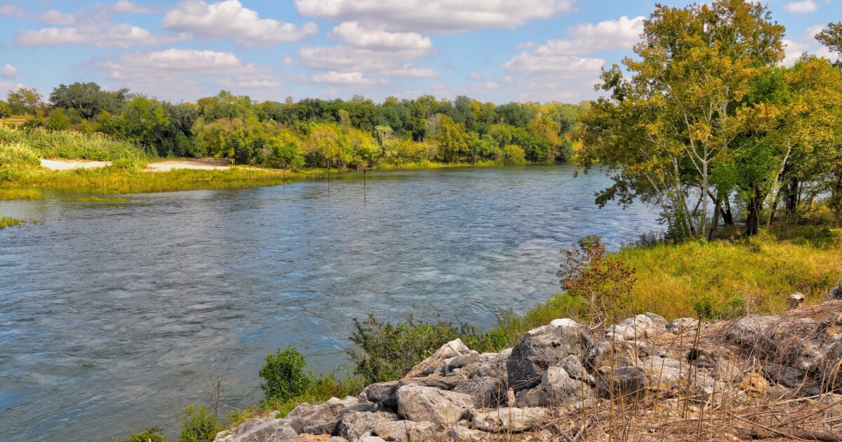 Sorpresa en este río de Texas por la aparición de caimanes