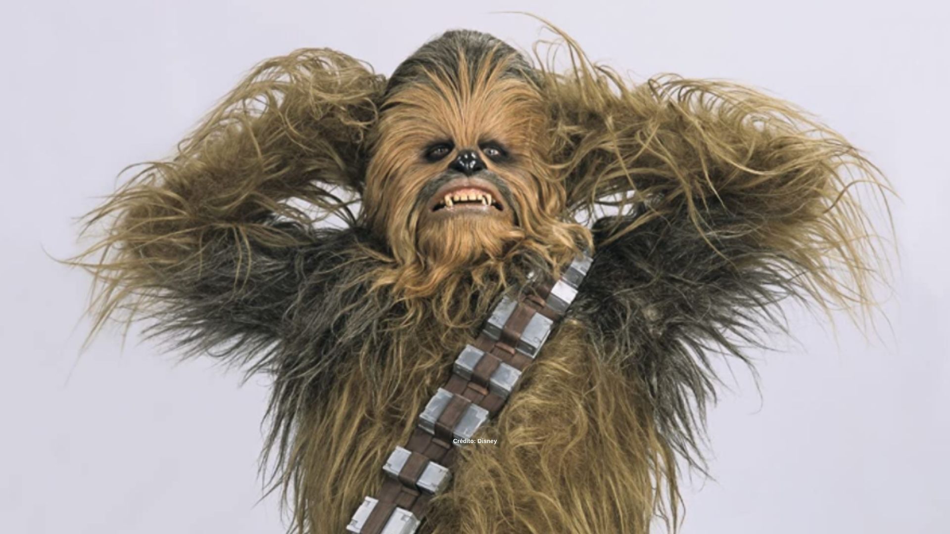 FOTOS | Razones por las que amamos a Chewbacca.