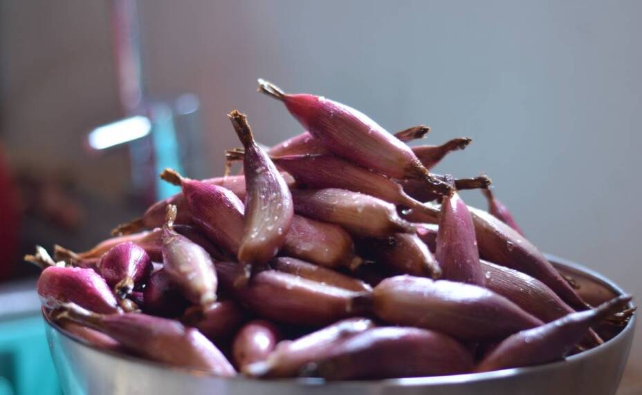 Conoce la Piñuela, un fruta exótica de la temporada en Yucatán