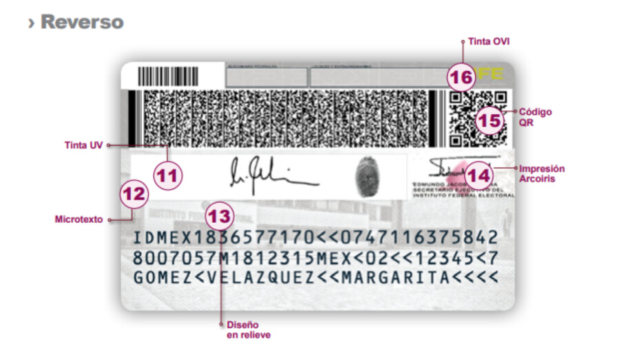 Credencial de elector: ¿Cuáles son los elementos clave?