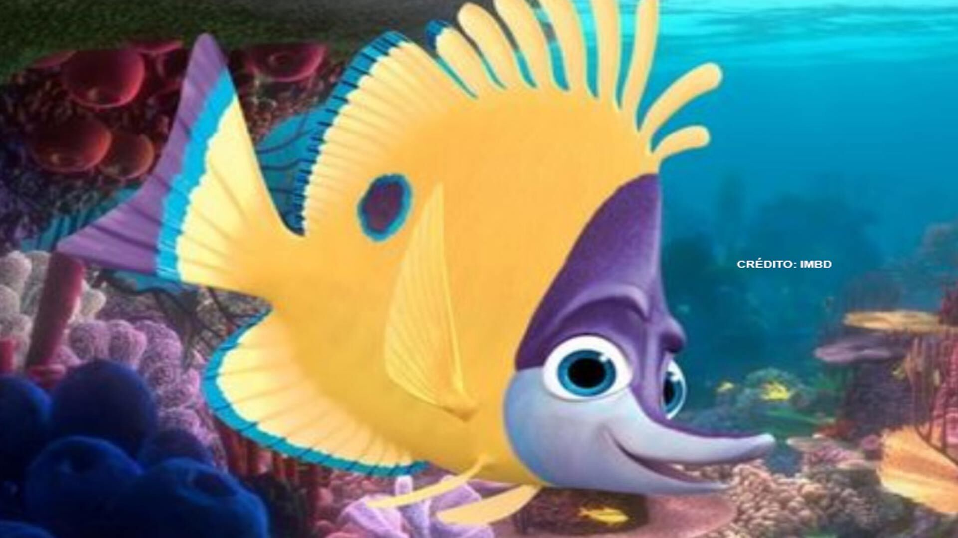 Así son en la vida real los personajes de Buscando a Nemo