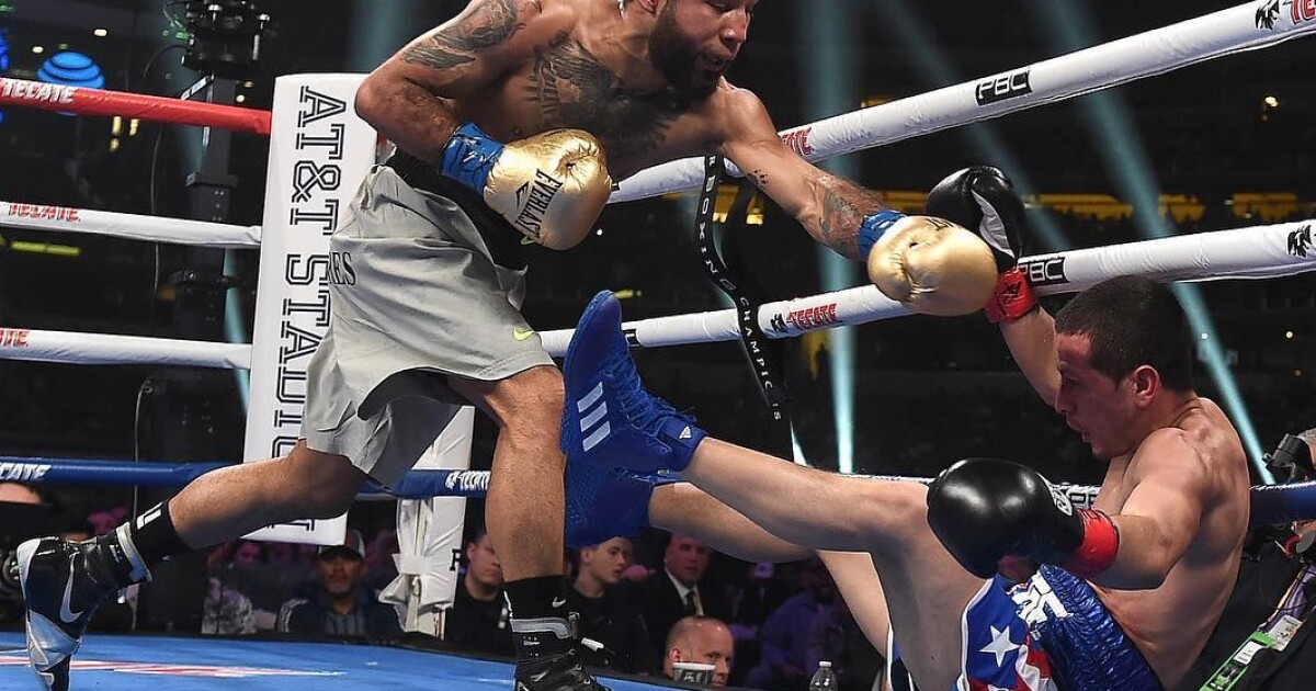 “Pantera” está de regreso