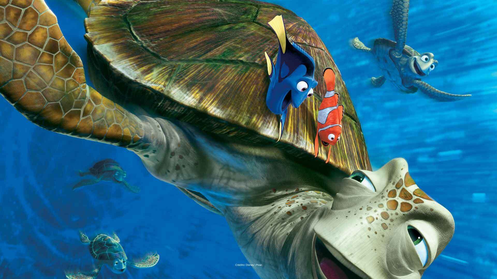 ¿Sabías que Nemo es un pez payaso? | Azteca 7