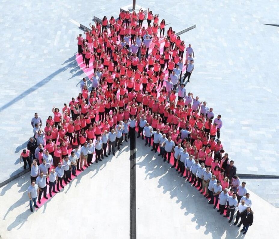 Forman diputadas lazo rosa gigante para promover autoexploración y ...
