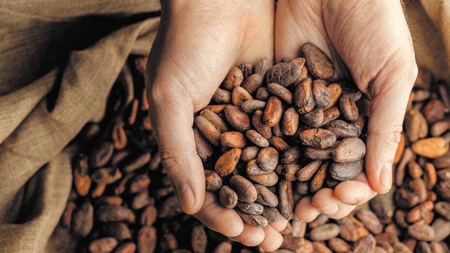 El cacao, la moneda indígena y oro mexicano