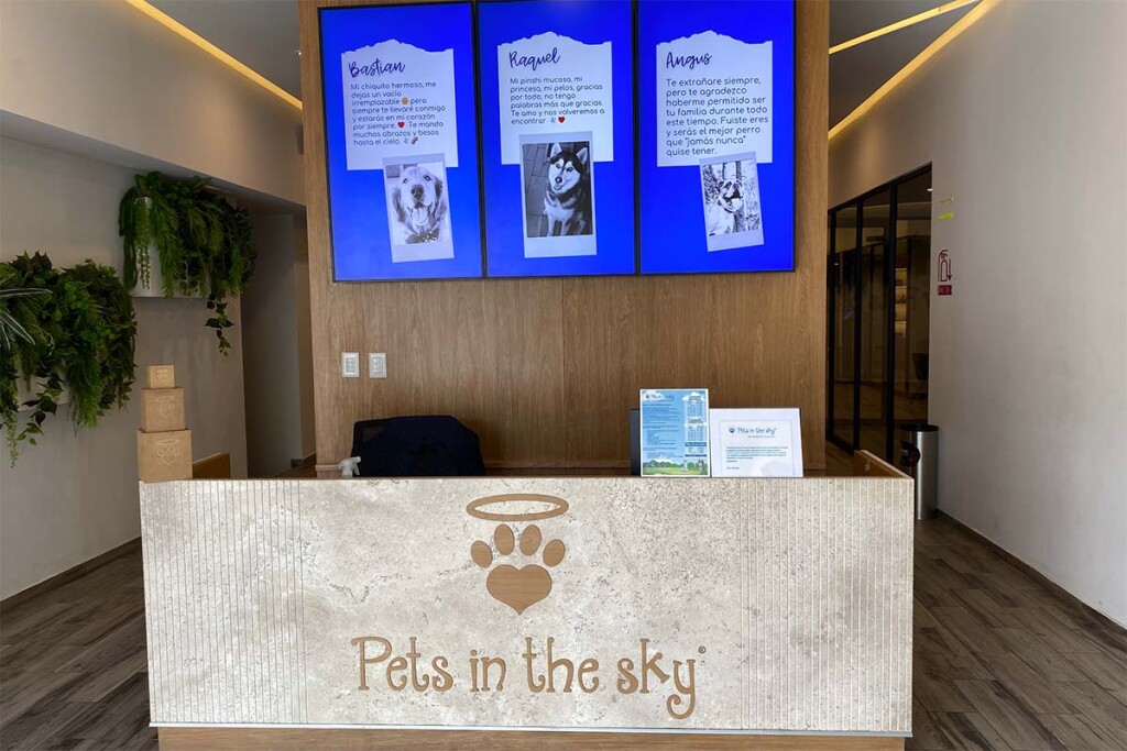 Funerarias para mascotas: qué servicios ofrecen y cuáles son sus precios