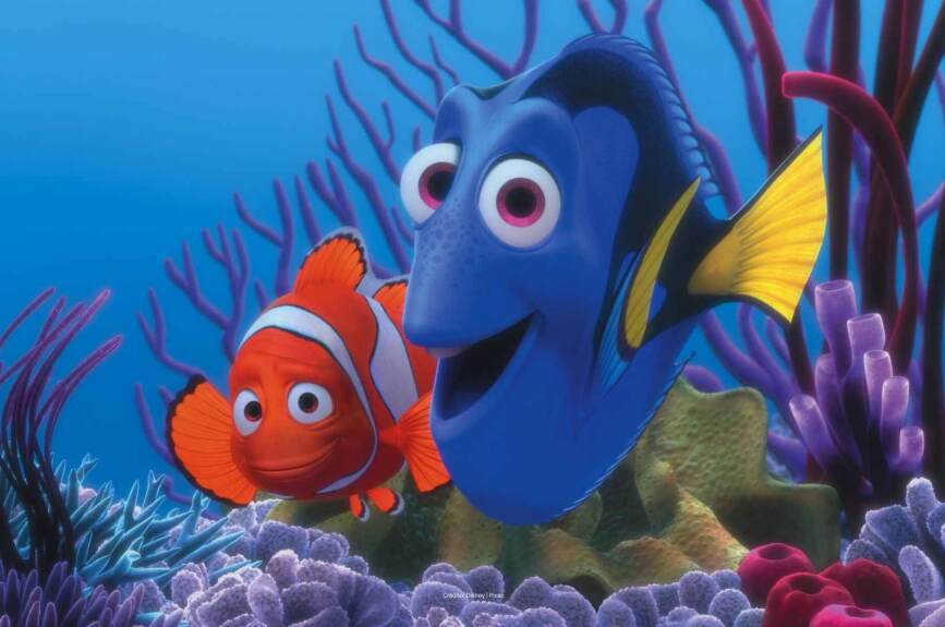 ¿Sabías que Nemo es un pez payaso? | Azteca 7