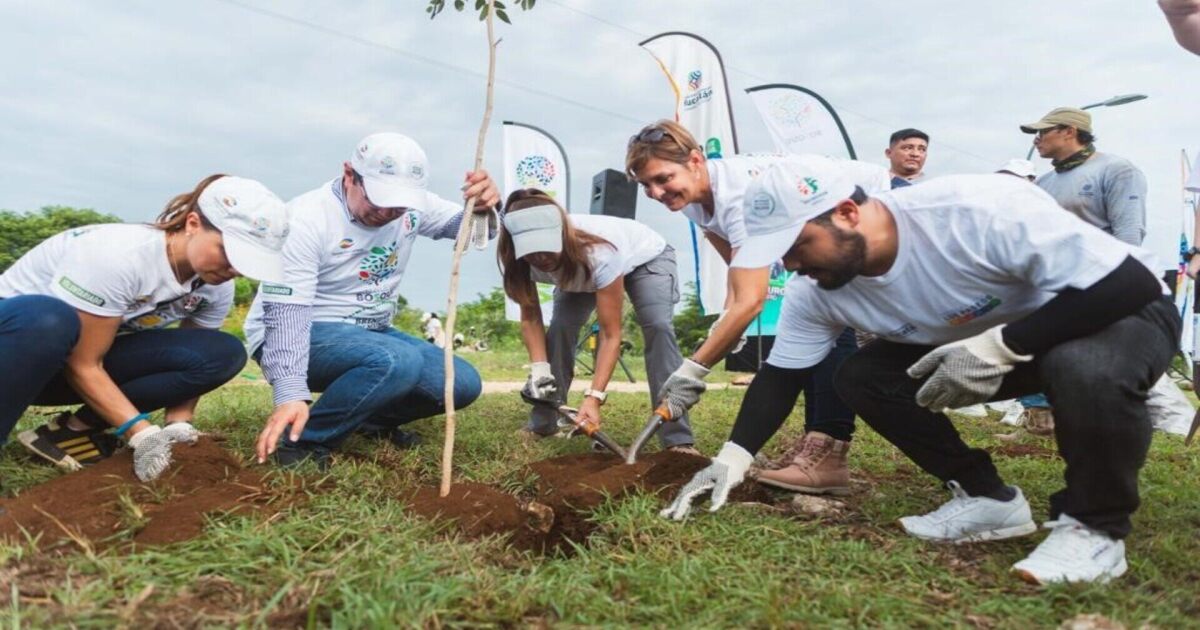 3 acciones para impulsar la conservación del medio ambiente