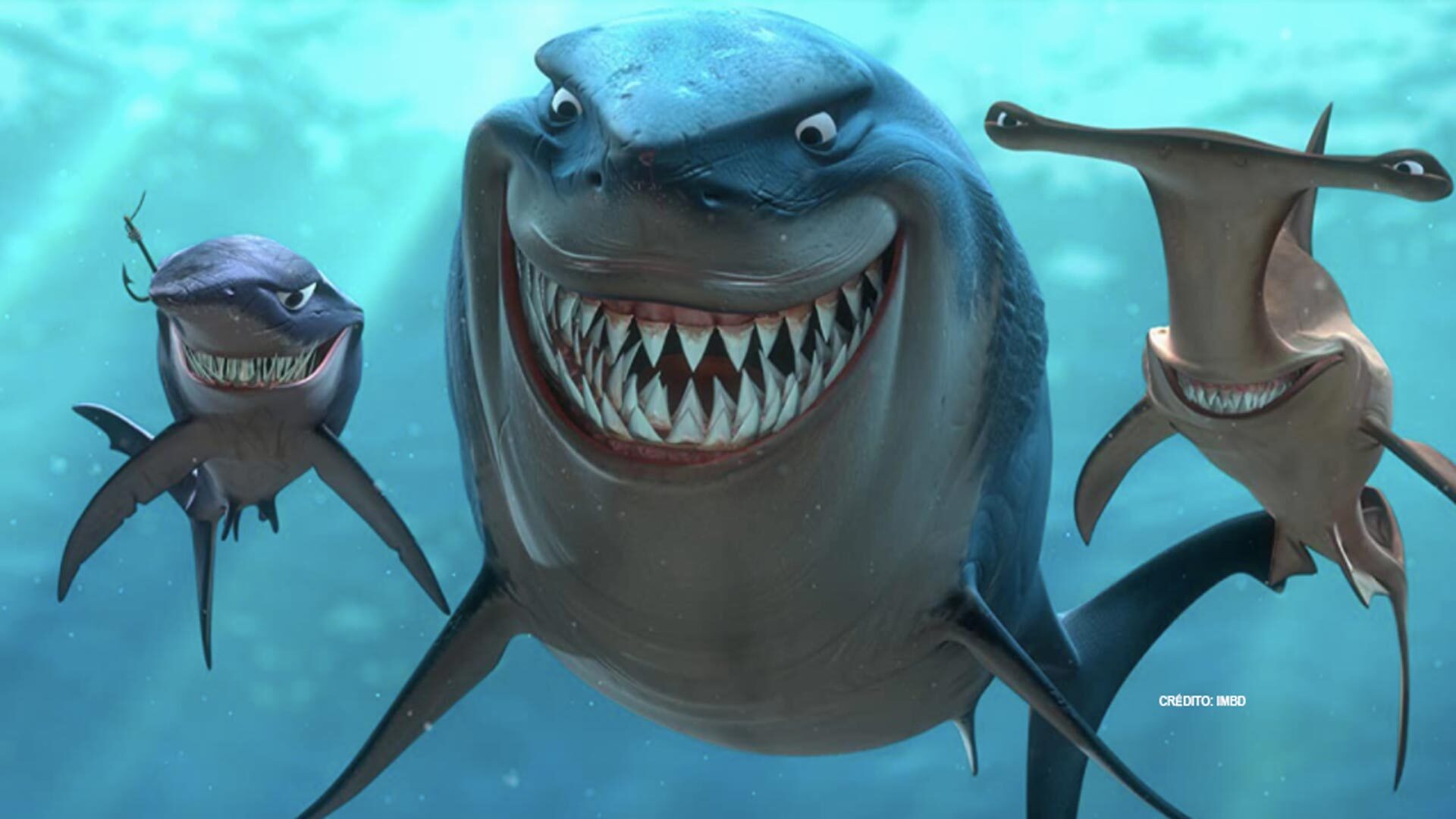 Así son en la vida real los personajes de Buscando a Nemo