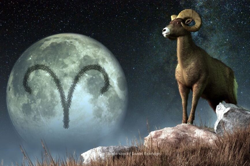 FOTOS: Estas son las características de un verdadero Aries.