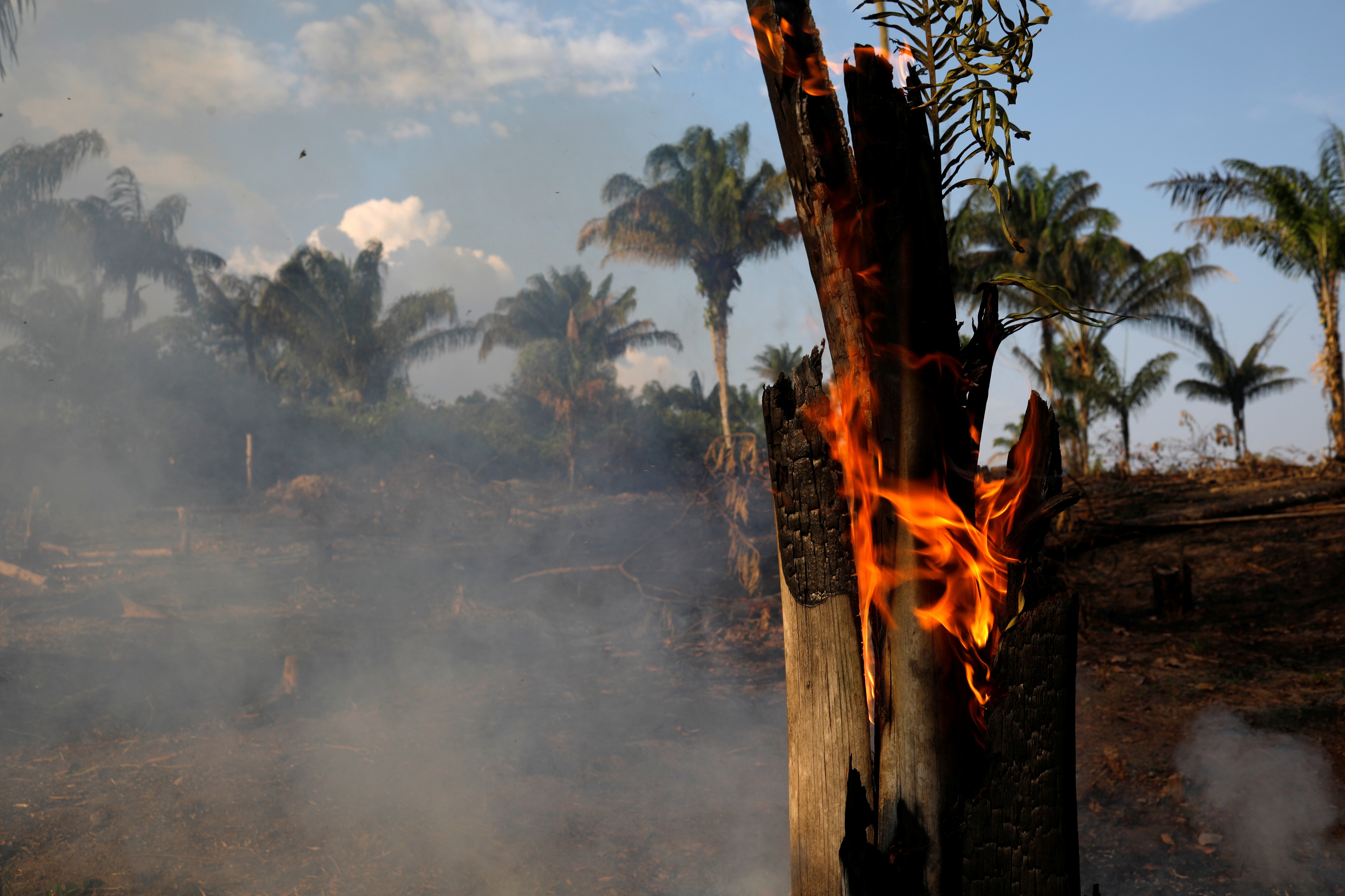 GALERÍA | Incendio destruye la selva amazónica; el pulmón verde está en ...