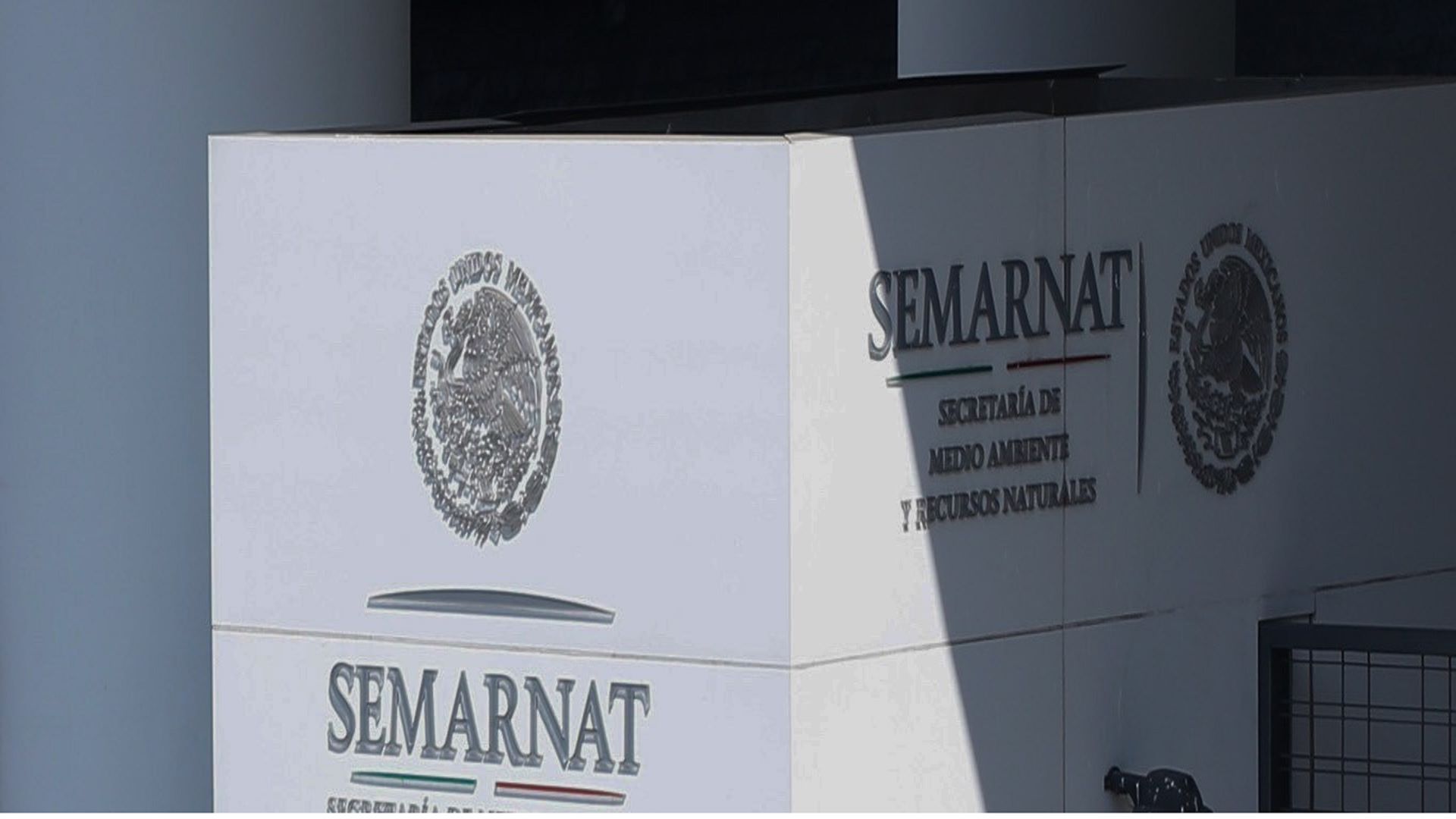 Semarnat debe revelar datos sobre organismos genéticamente modificados