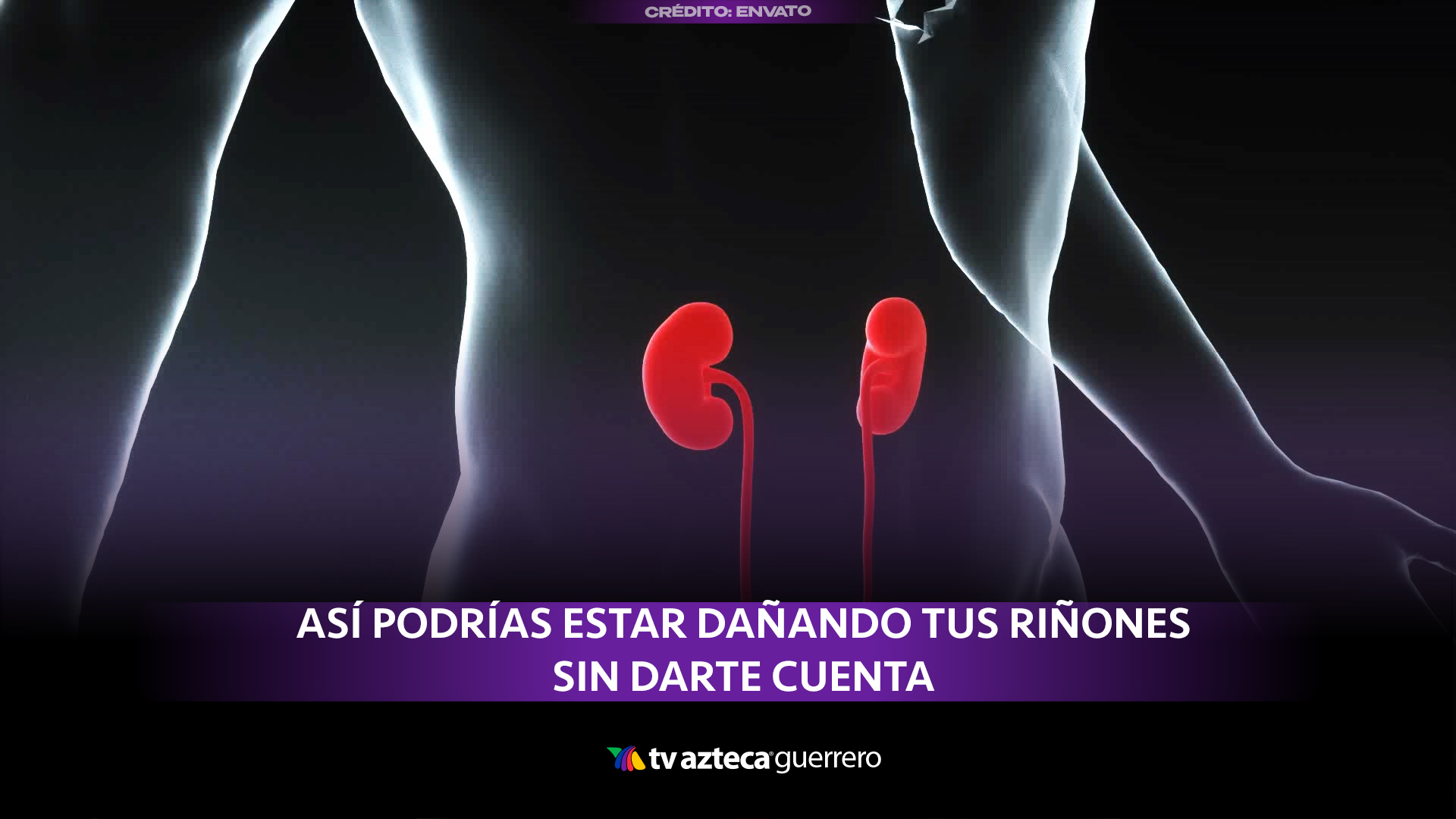 ¿Qué debo hacer para mejorar el funcionamiento de los riñones?