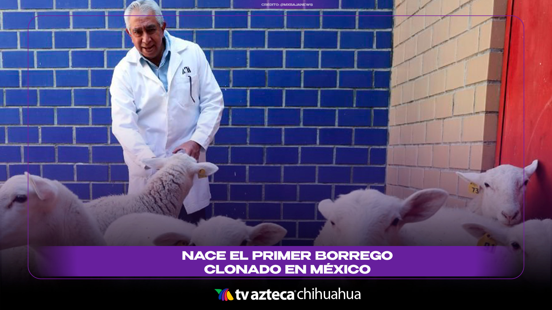 Un Nacimiento Que Cambia La Ciencia México Logra Clonar Su Primer