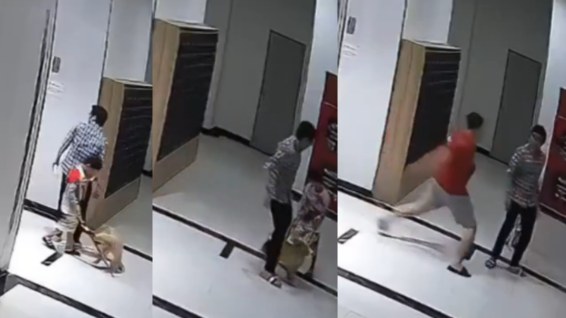 VIDEO Hombre golpea a sujeto que pateo a su perro; el can molestaba a ...