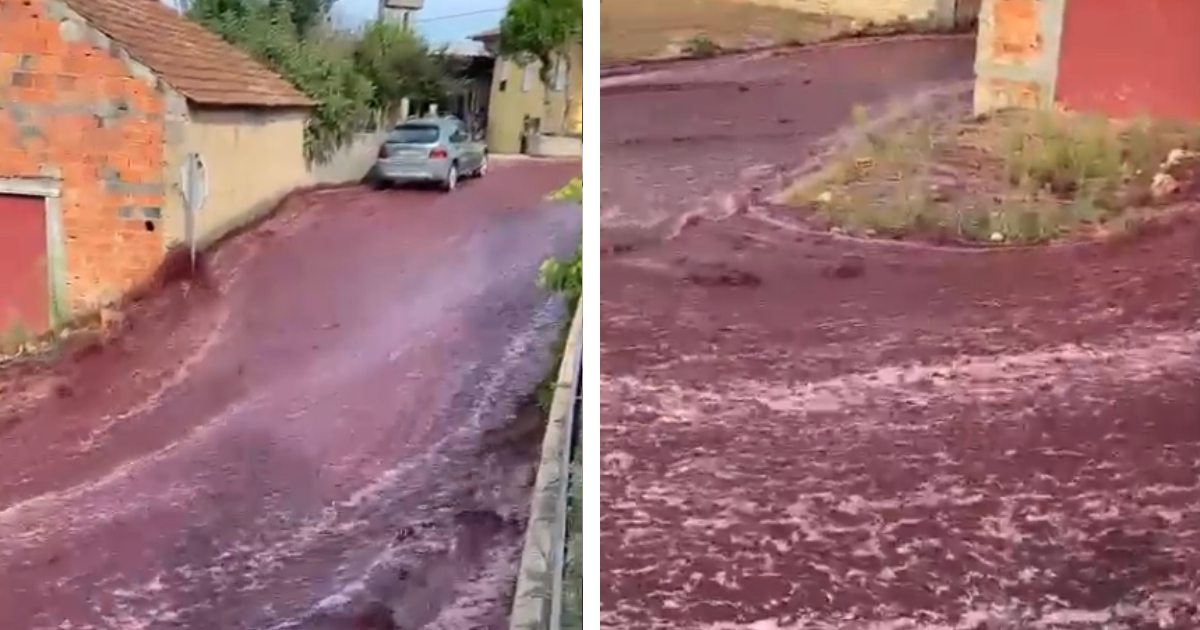 VIDEO: Calles se tiñen de rojo con vino tinto y se hace un río