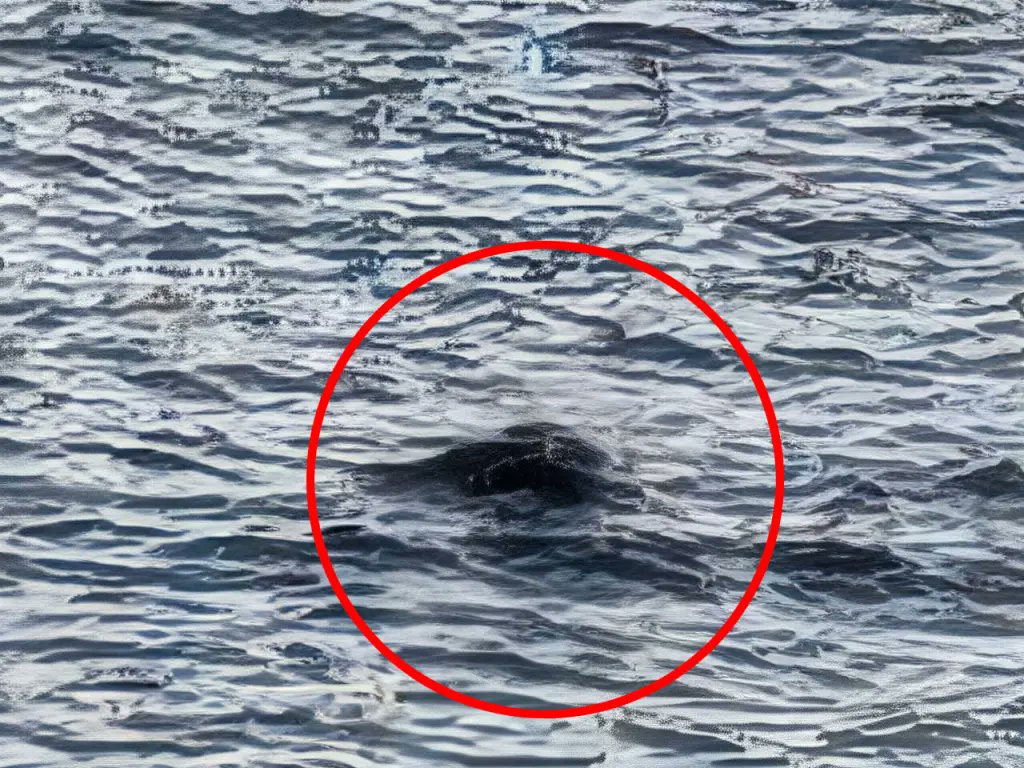 Reportan supuesto avistamiento del monstruo del Lago Ness