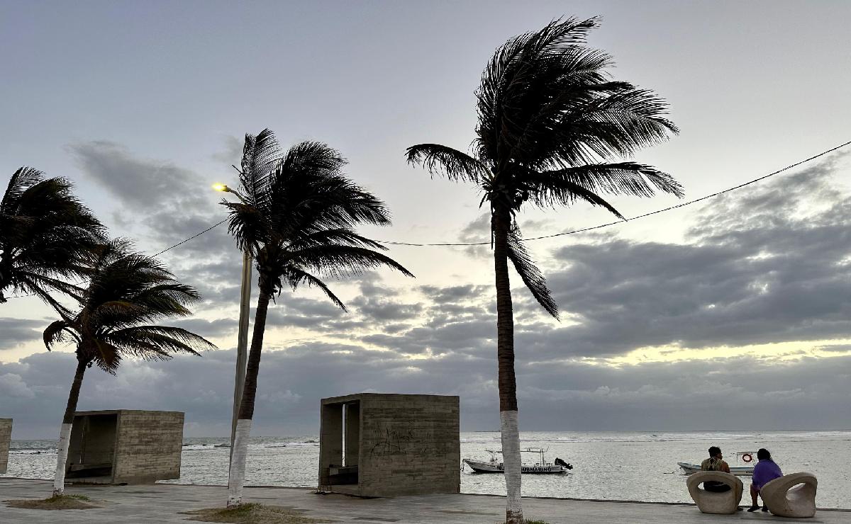 Norte en Veracruz octubre 2024: ¿de cuánto serán las rachas de viento?