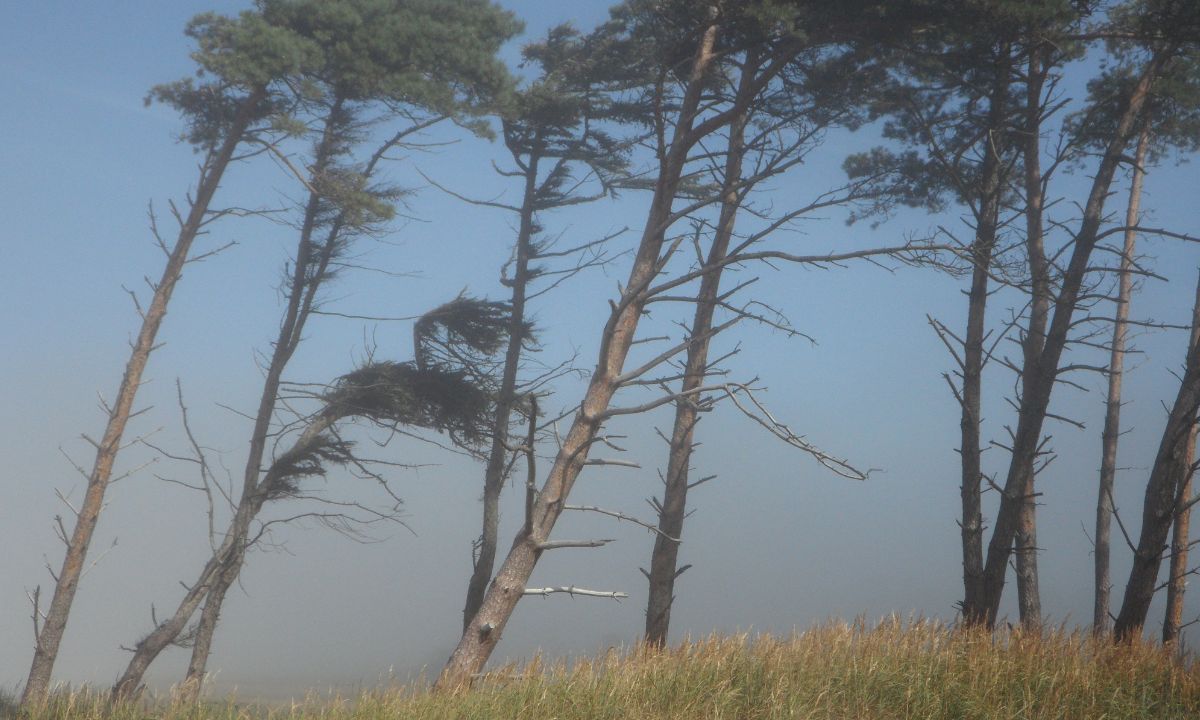 Clima de Veracruz: ¿Cómo estará el clima ante el ingreso de la SURADA?