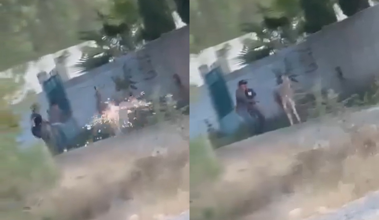Autoridades condenan maltrato animal contra un burro en Cadereyta ...
