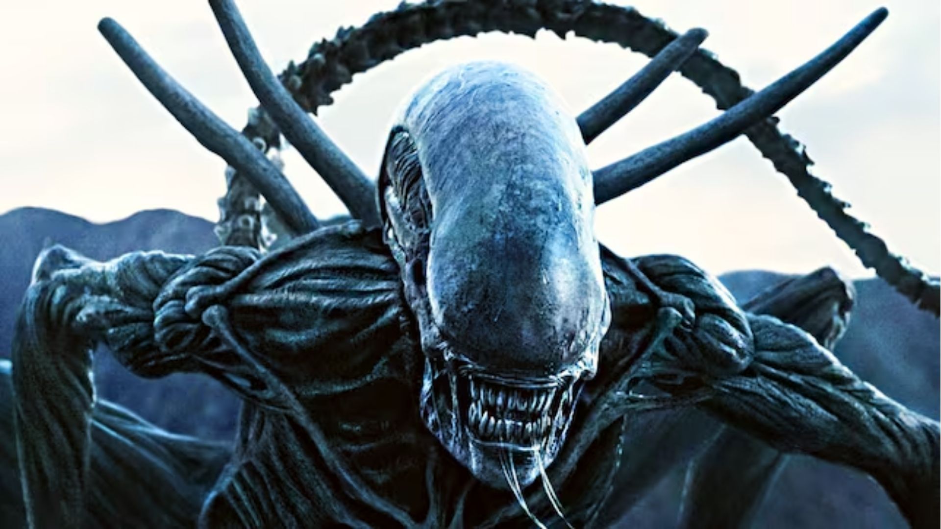 Orden cronológico y de estreno de todas las películas y series de Alien