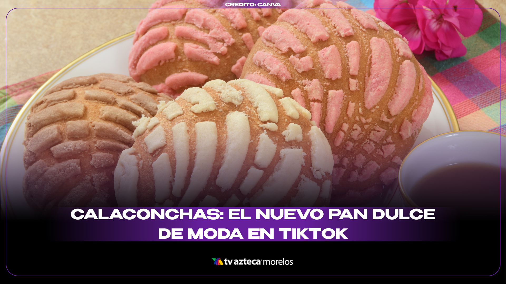 Calaconchas: el nuevo pan dulce de moda en TikTok