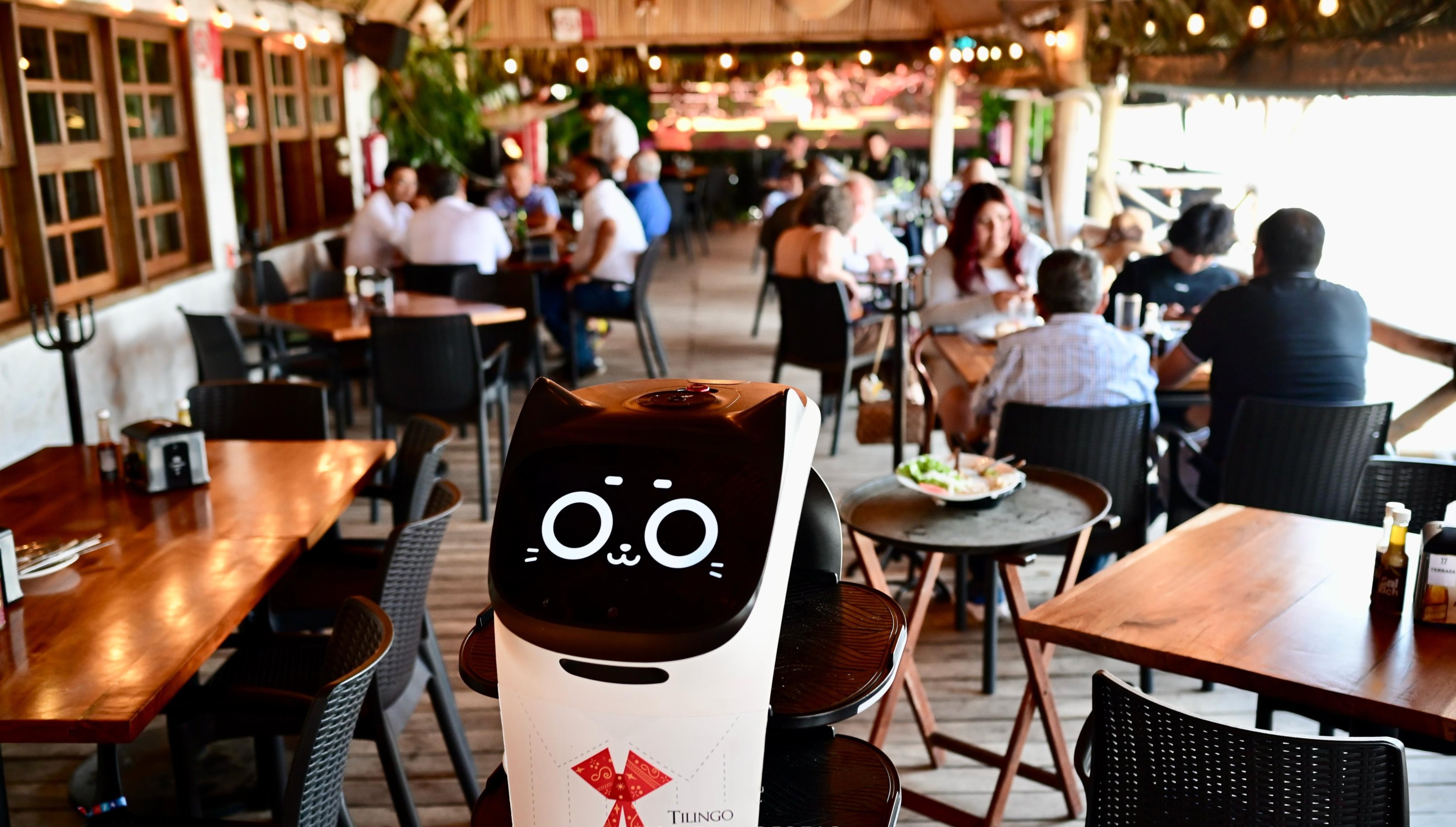 Un robot mesero sorprende a comensales en Veracruz