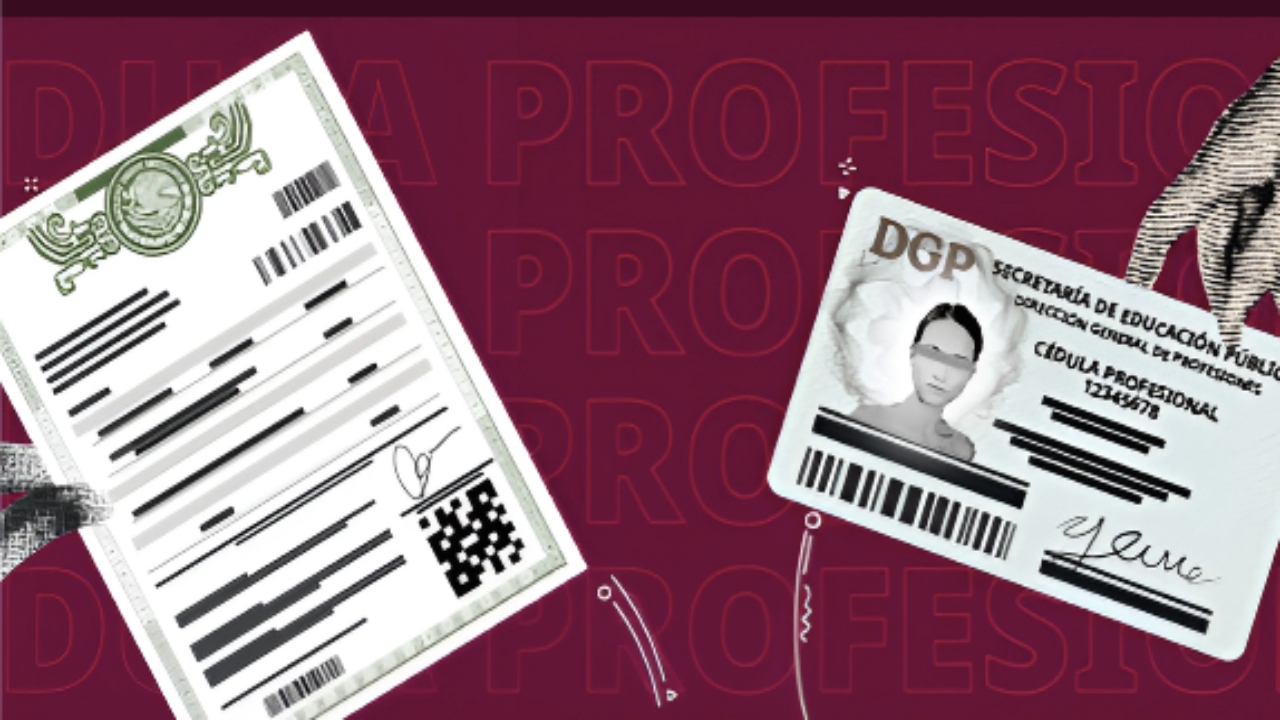 ¿Cómo tramitar la Constancia de Situación Profesional? Paso a paso