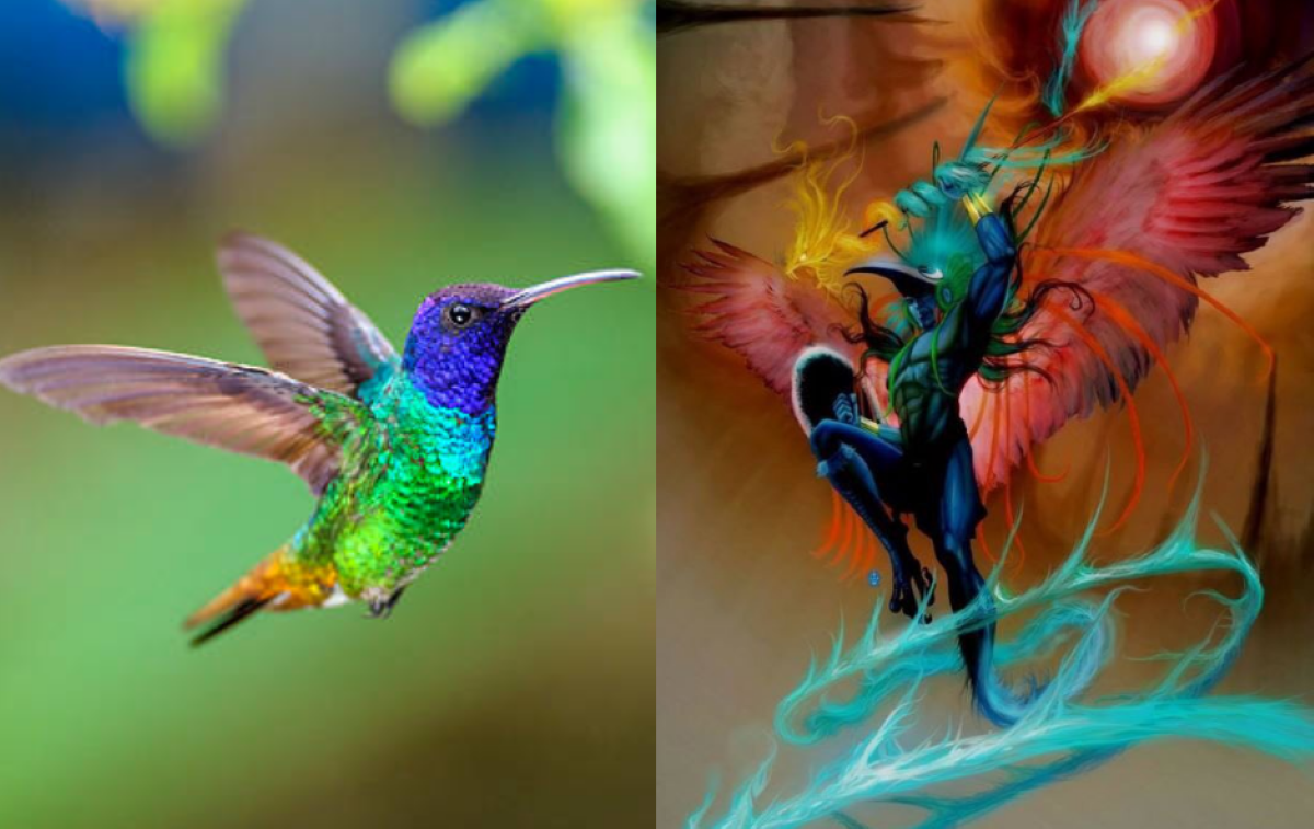 Colibri Huitzilopochtli