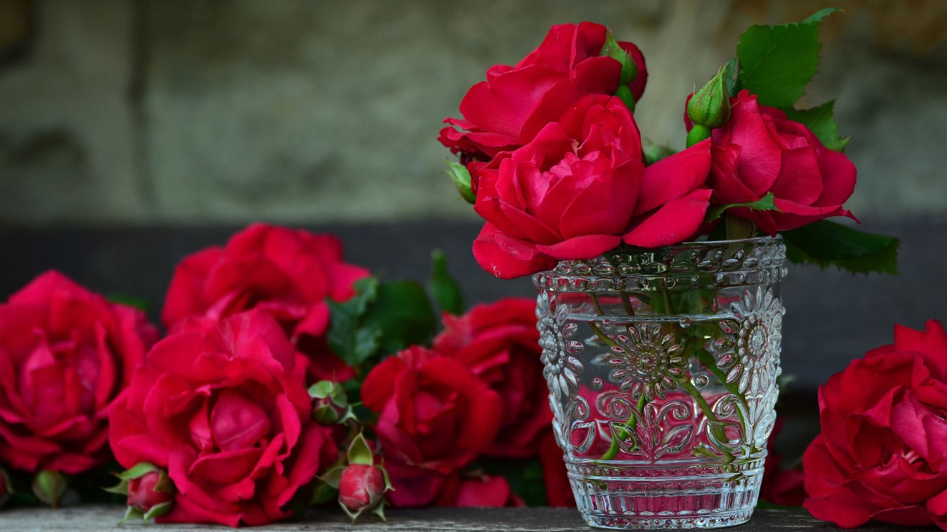 ¿Cuál es el origen de las rosas según el mito de Afrodita y Adonis?