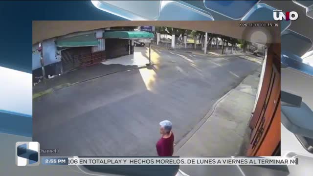 Retirarán a 21 perros tras ataque a mujer adulta mayor en Cuautla