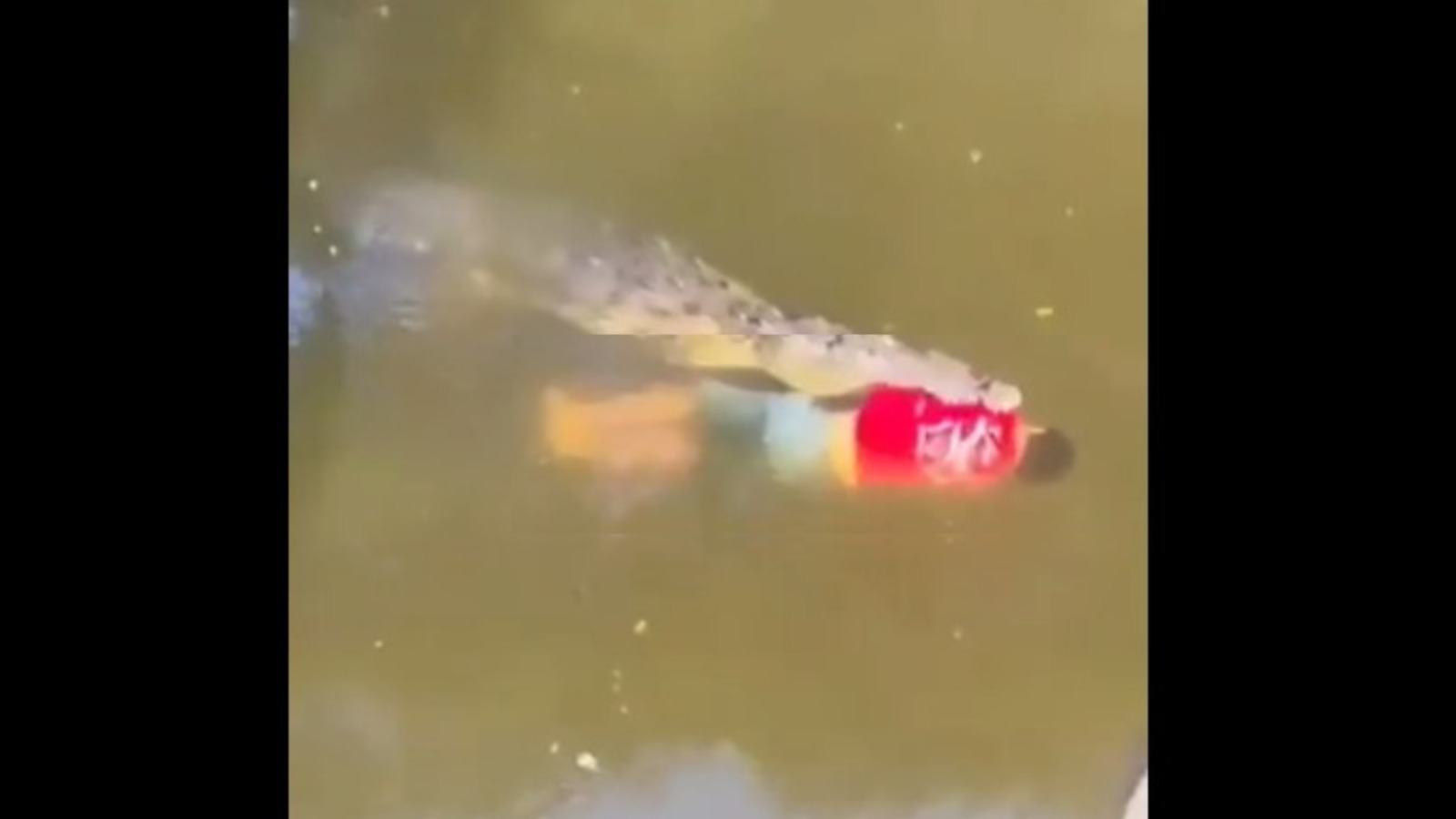 Futbolista Jesús Alberto López murió tras ser atacado por un cocodrilo