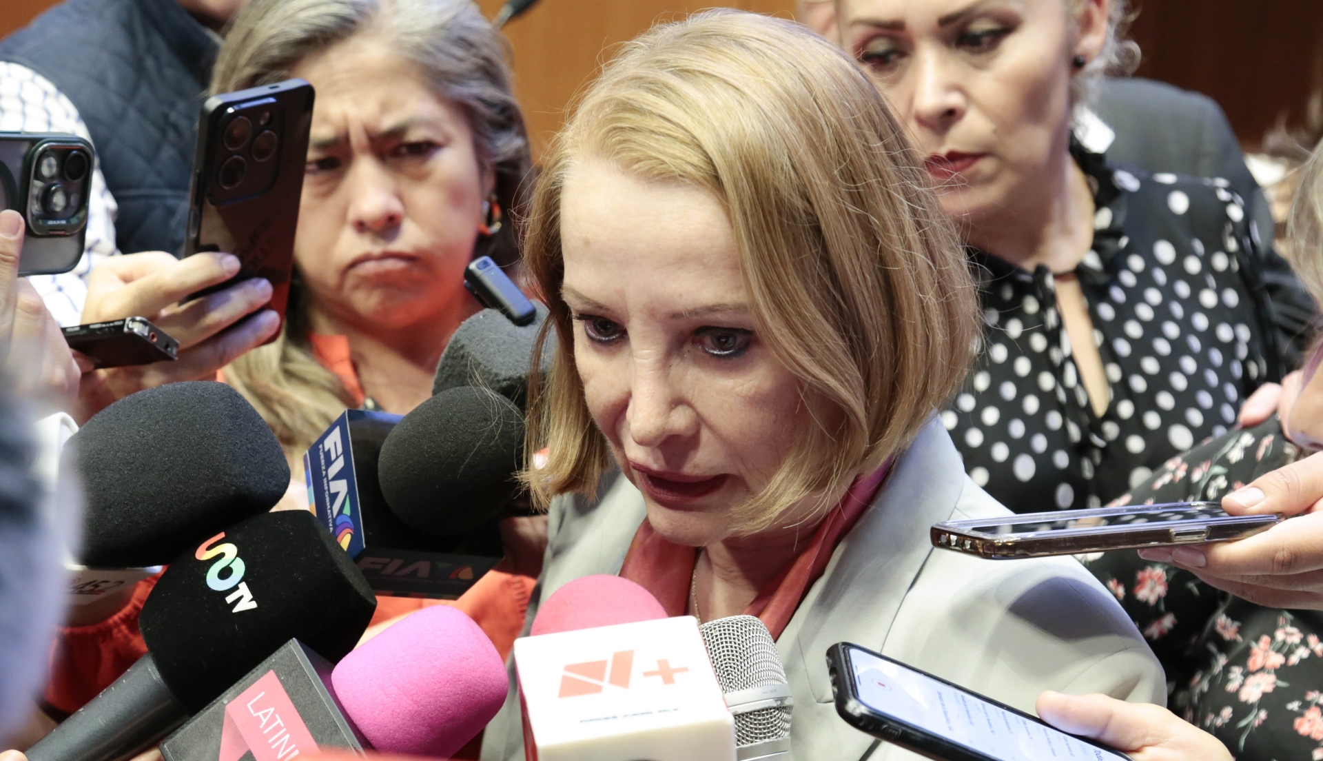 Reforma electoral será tan profunda como la judicial: Itzel Castillo