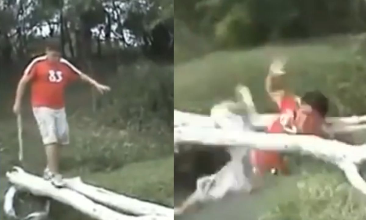 ¿Qué pasó con Edgar, niño de "La caída de Edgar" ? ¿dónde esta en pleno ...