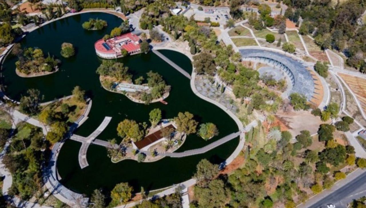 ¿Qué se está haciendo en el Bosque de Chapultepec?