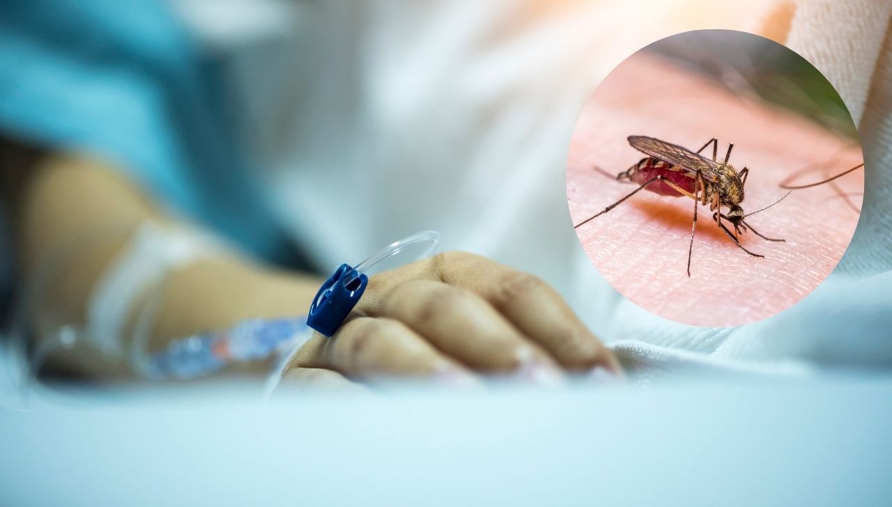 Virus Chandipura: ¿Qué es, cuáles son los síntomas y cómo se contagia?