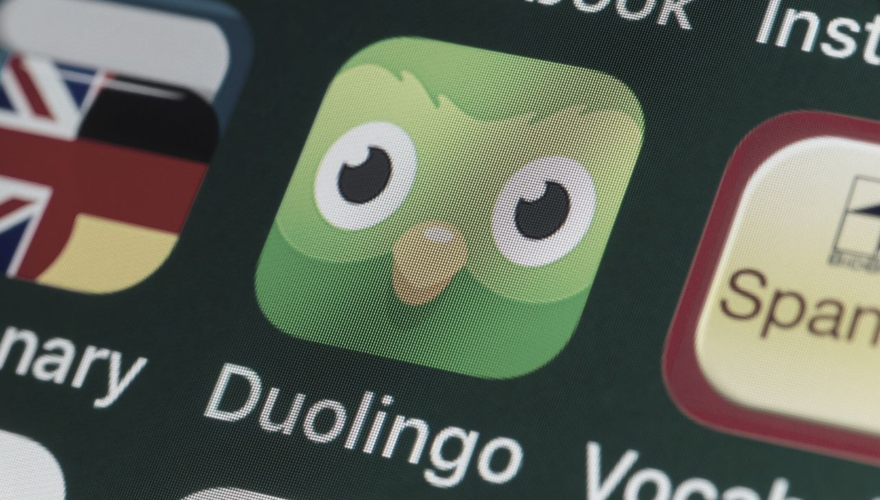 Murió la mascota de Duolingo, 'tenía muchos enemigos'
