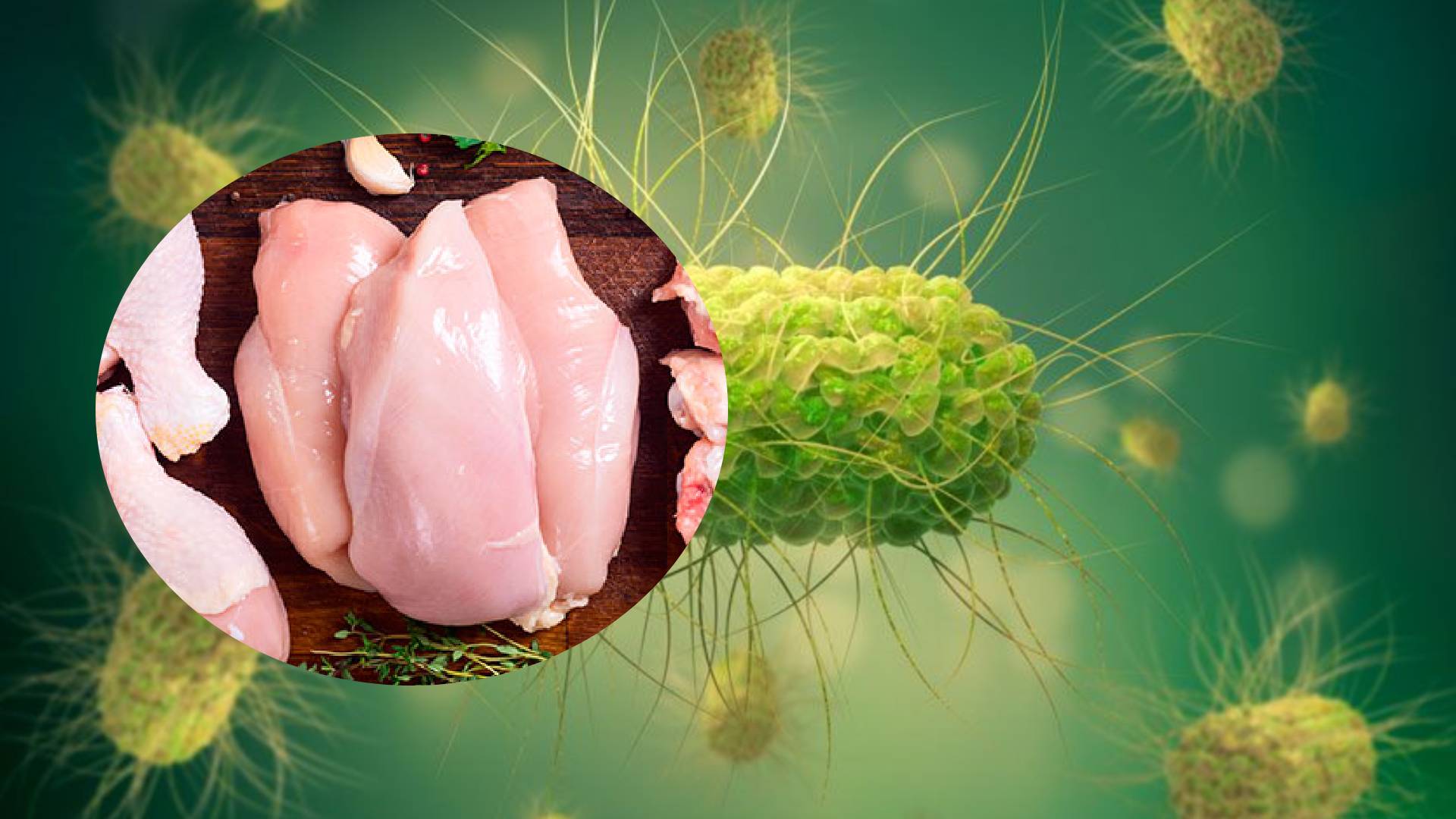 ¿Cómo afecta la salmonela a nuestro cuerpo y cuándo debes consultar al ...