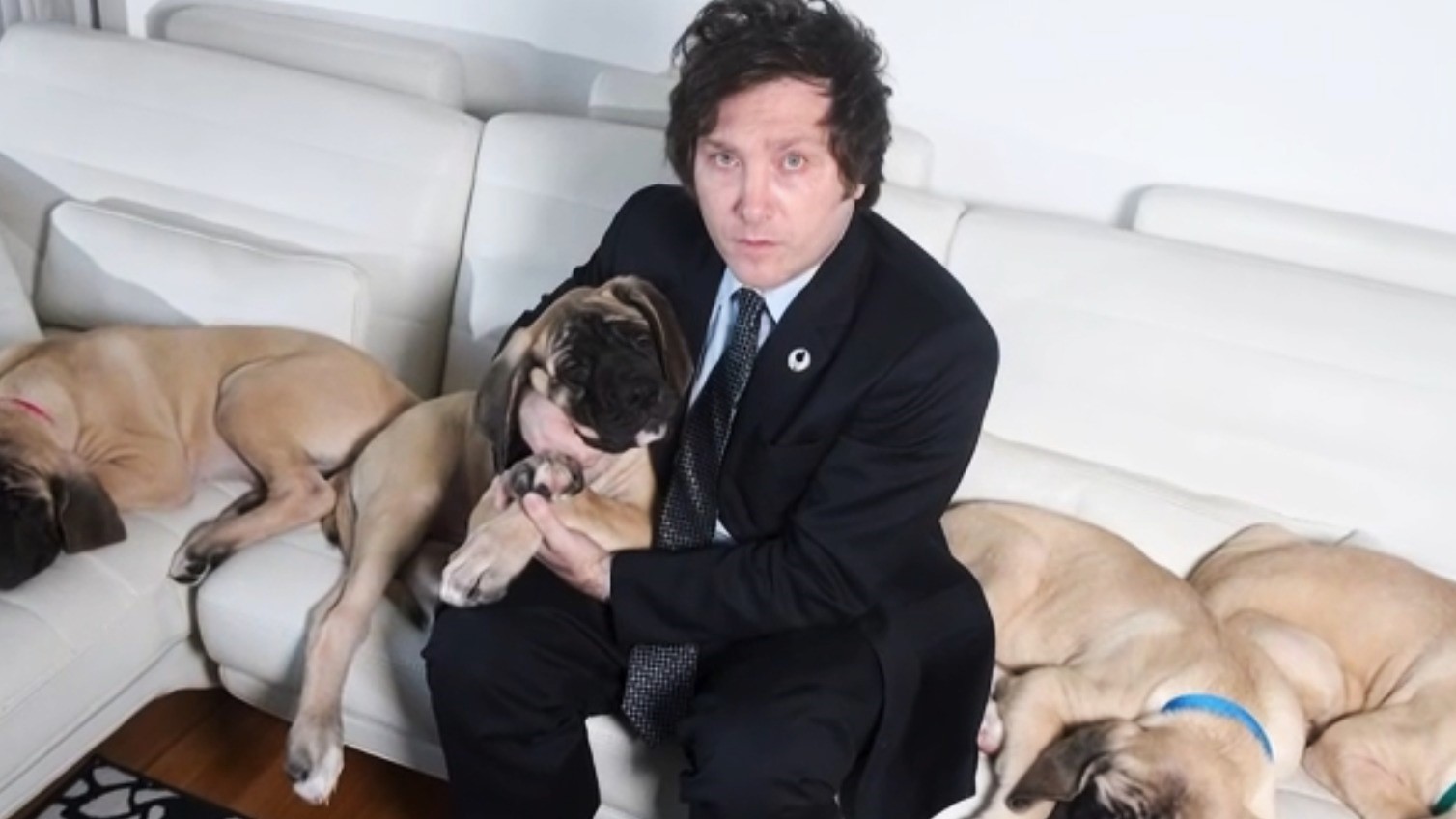 ¿Conan está detrás del misterio de los perros clonados del presidente ...