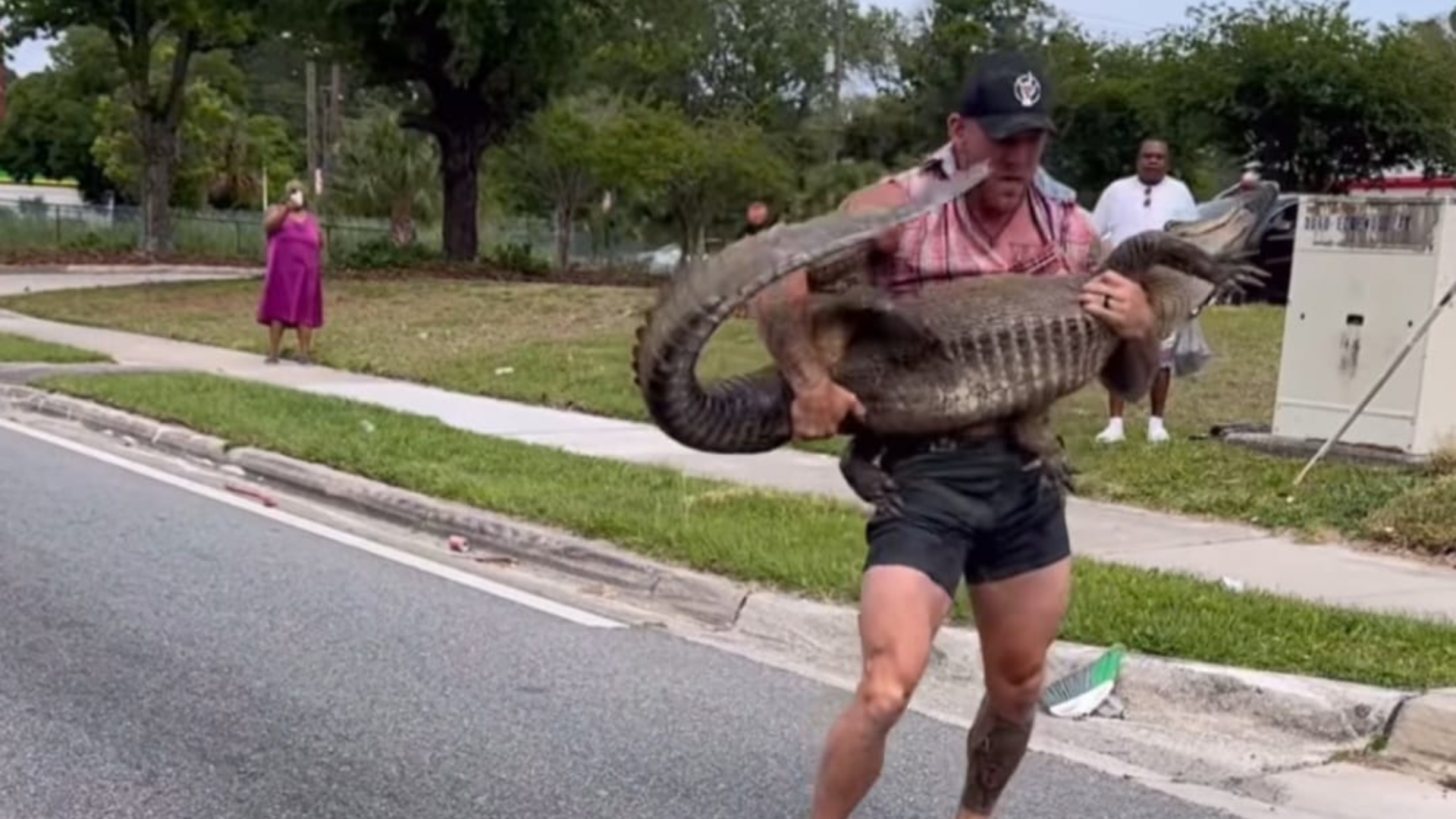 Florida: el video de un luchador de MMA que atrapó un caimán con sus manos