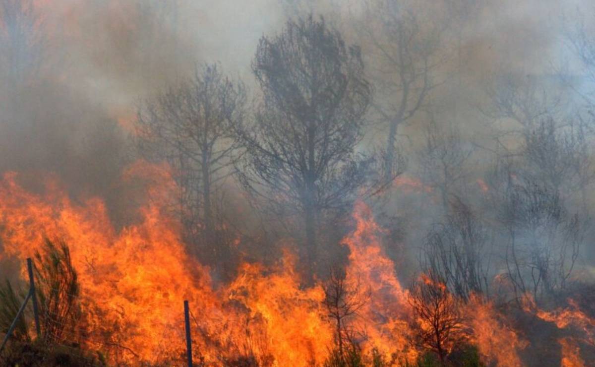 ¿Cómo protegerte del humo de los incendios en México?