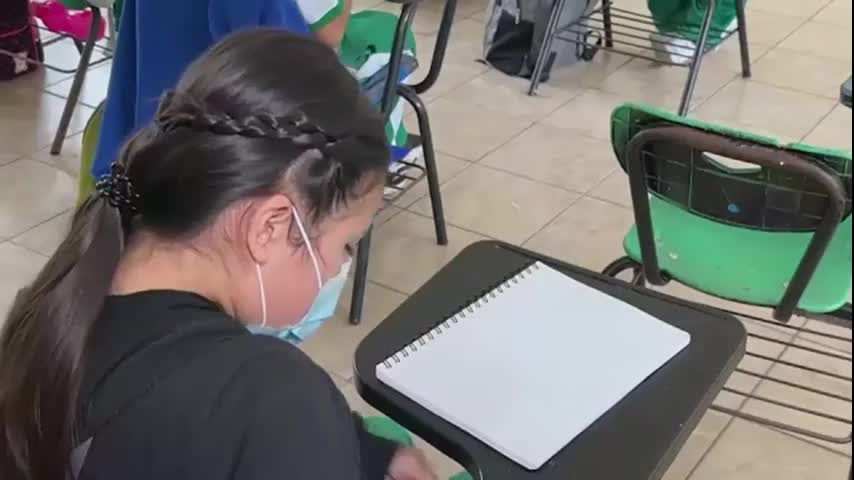 VIDEO: Maestros pueden reprobar alumnos este semestre