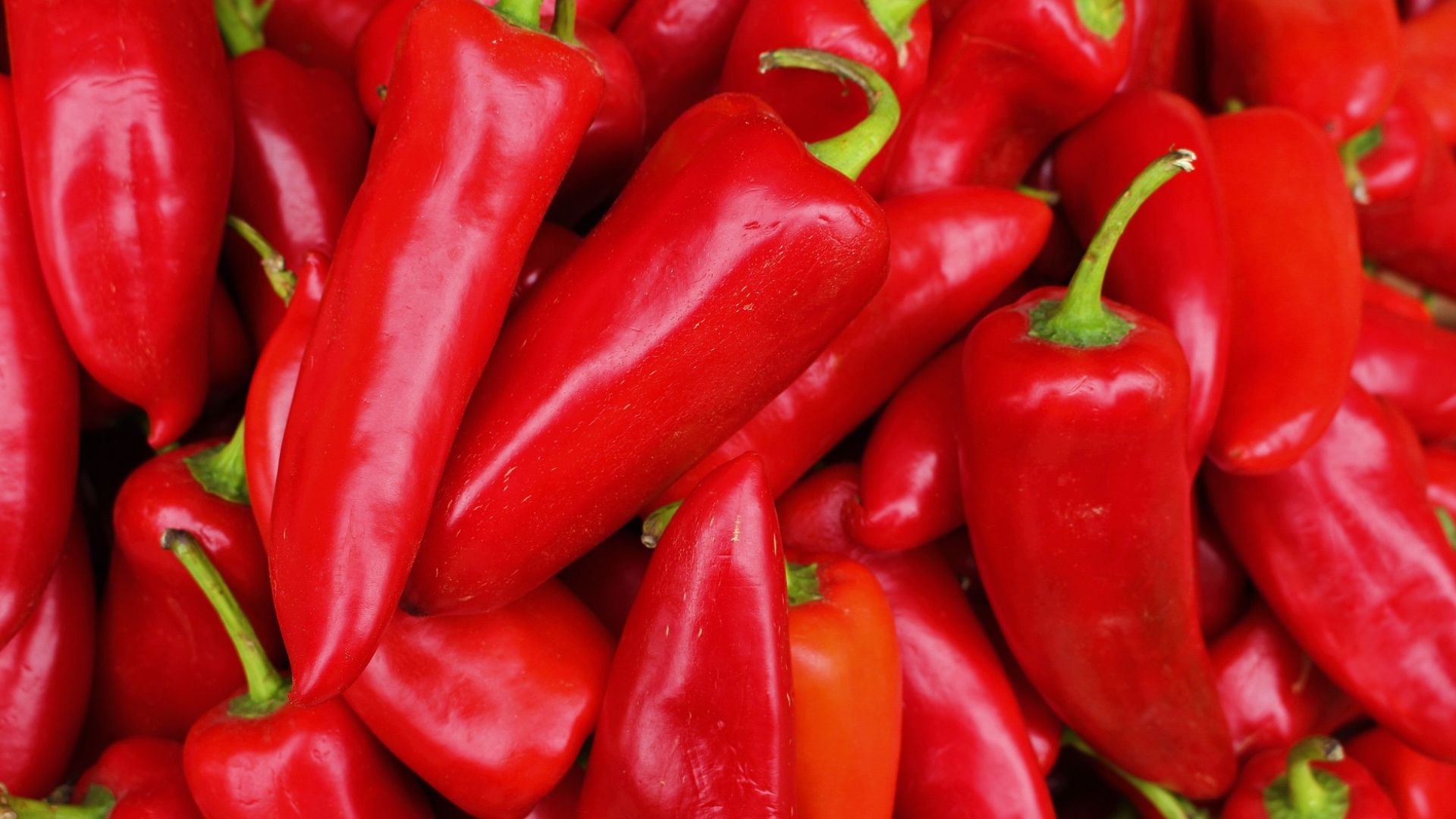 ¿Por qué sentimos dolor al comer chile?